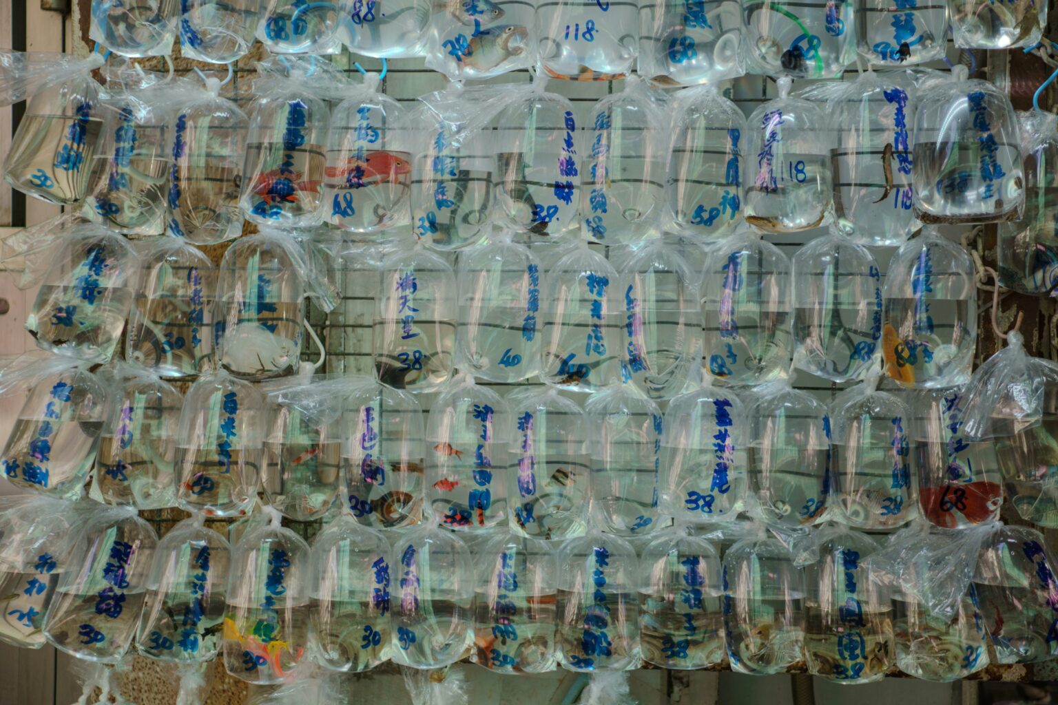 Cómo reciclar y desechar filtros de agua correctamente - Filtros de ...